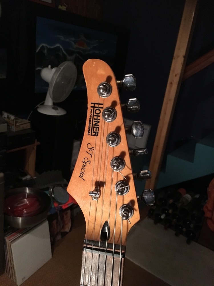 Hohner Professional ST Special - Other Instruments (Guitars, Recorder ...