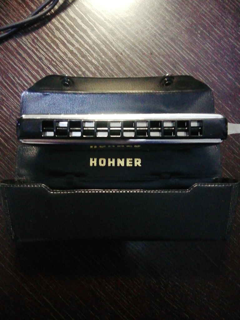 Which is your first harmonica? - Harmonica - HOHNER - enjoy music