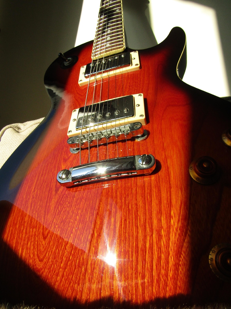 Hohner Arbor Series LP 1980's - Other Instruments (Guitars, Recorder ...
